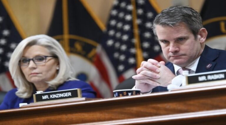 Liz Cheney and Adam Kinzinger Open Wallets to Put Weight Behind Nikki ...