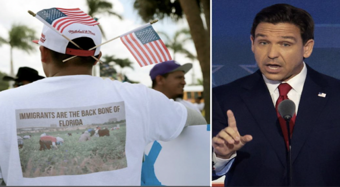 Legal Twist: Judge Overturns Decision Blocking Florida Immigration Law ...